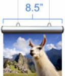 Custom Poster Printing | Signs.com