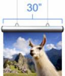 Custom Poster Printing | Signs.com